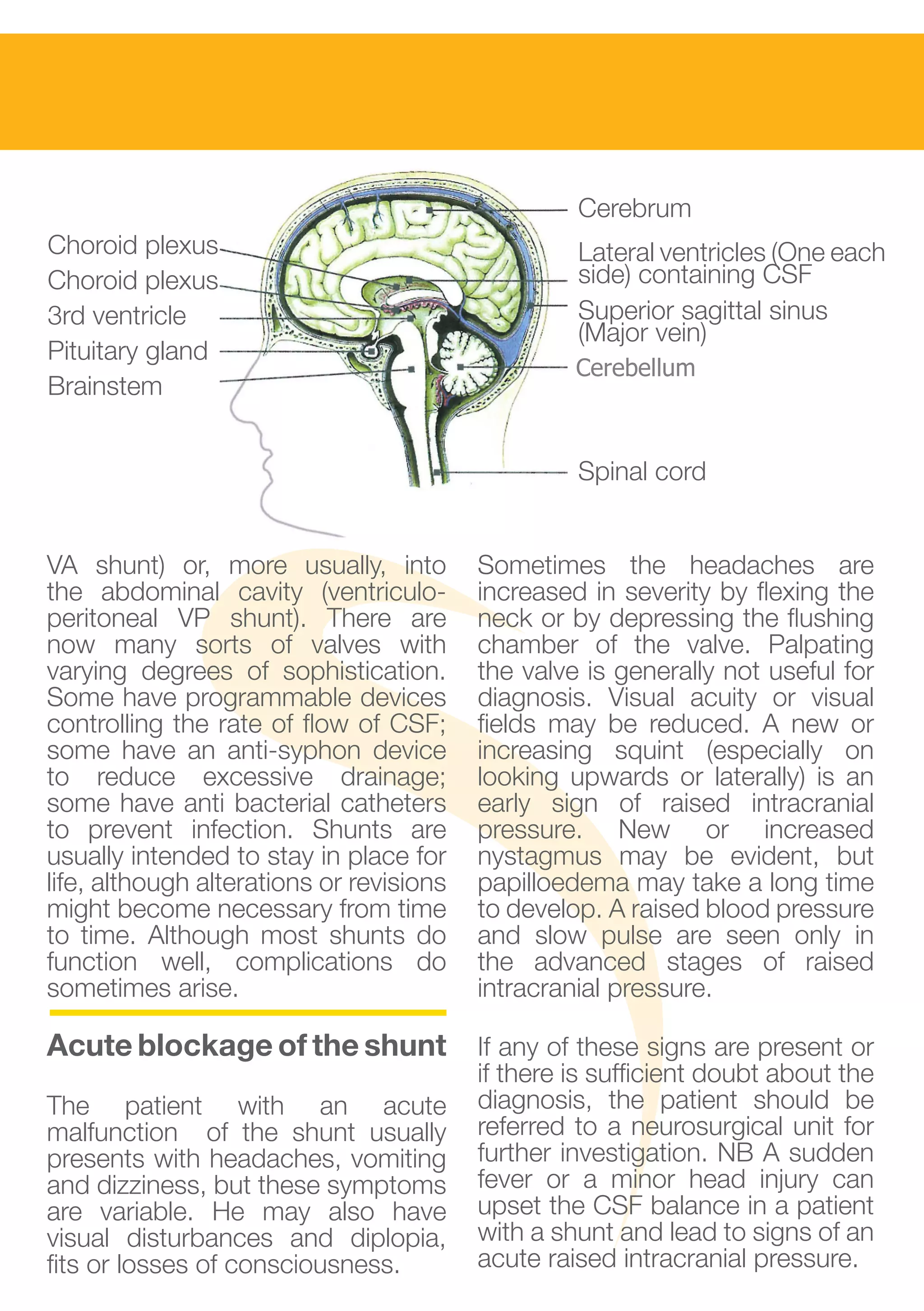 Guidelines for General Practitioners | PDF