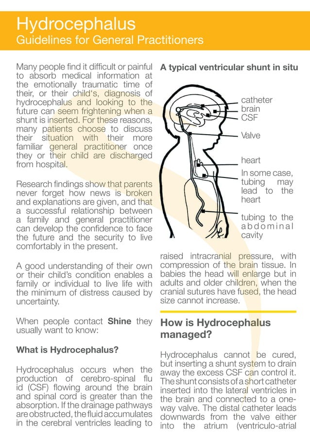 Guidelines for General Practitioners | PDF