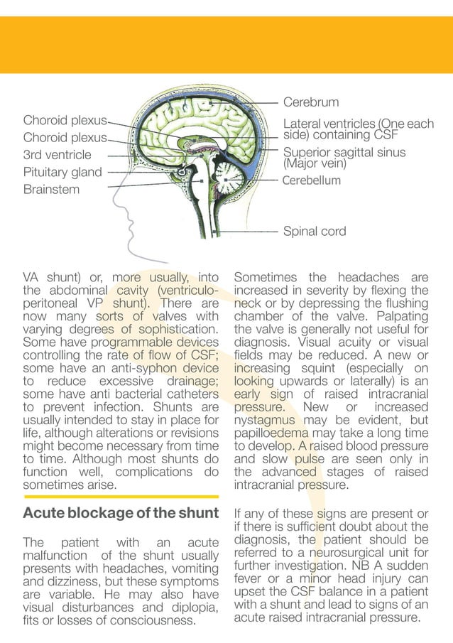 Guidelines for General Practitioners | PDF