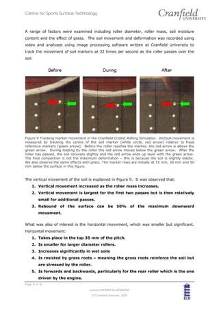 Guidelines For Rolling In Cricket 10409 | PDF