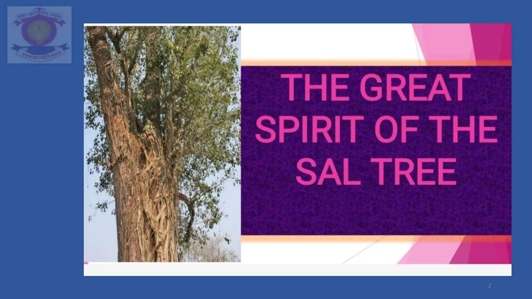 guidelines-The spirit of the sal tree.pptx