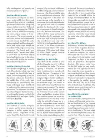 GuidelinesforAccessCavity.pdf