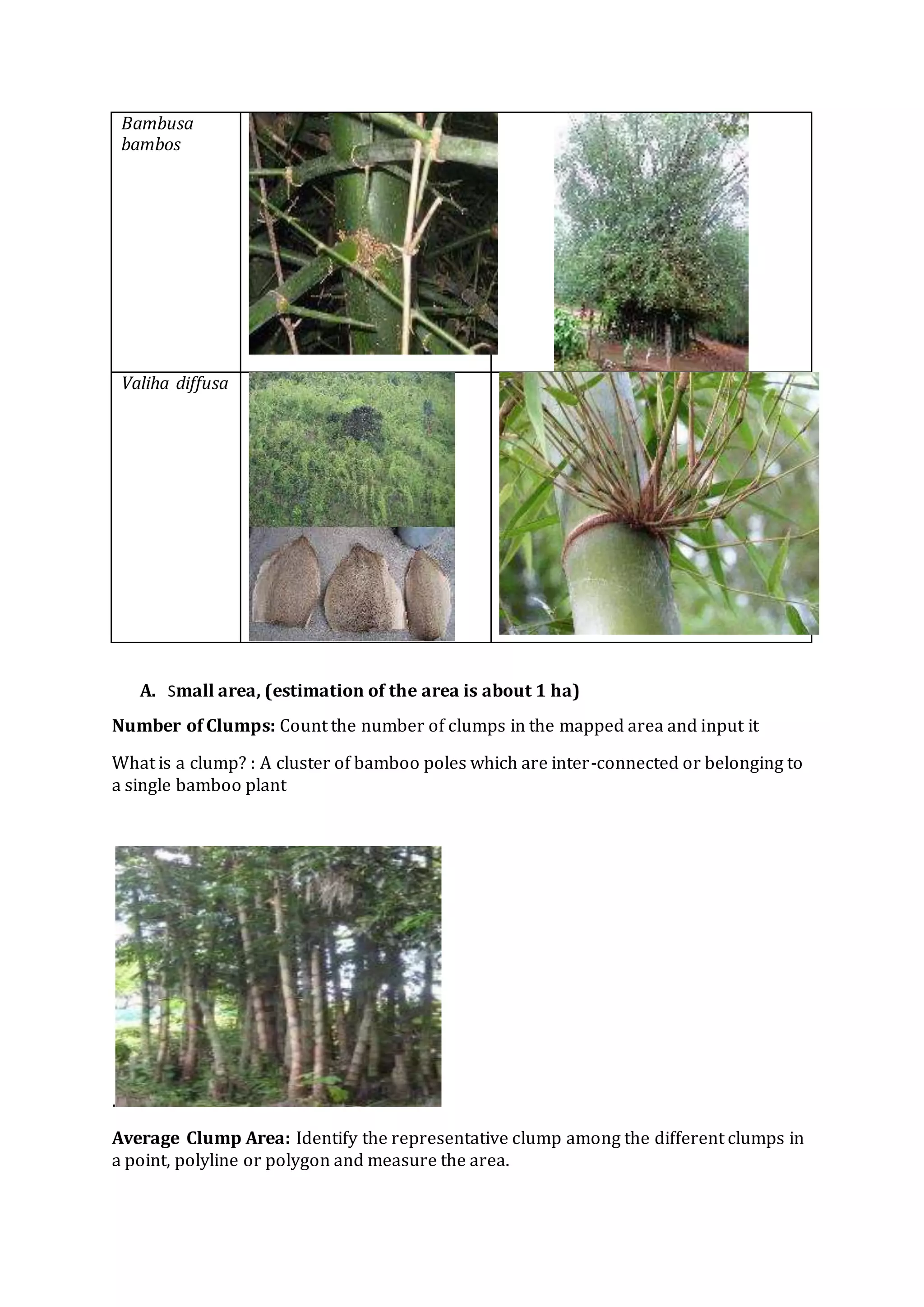 Guidelines for bamboo data measurement v1.1.2 | DOCX