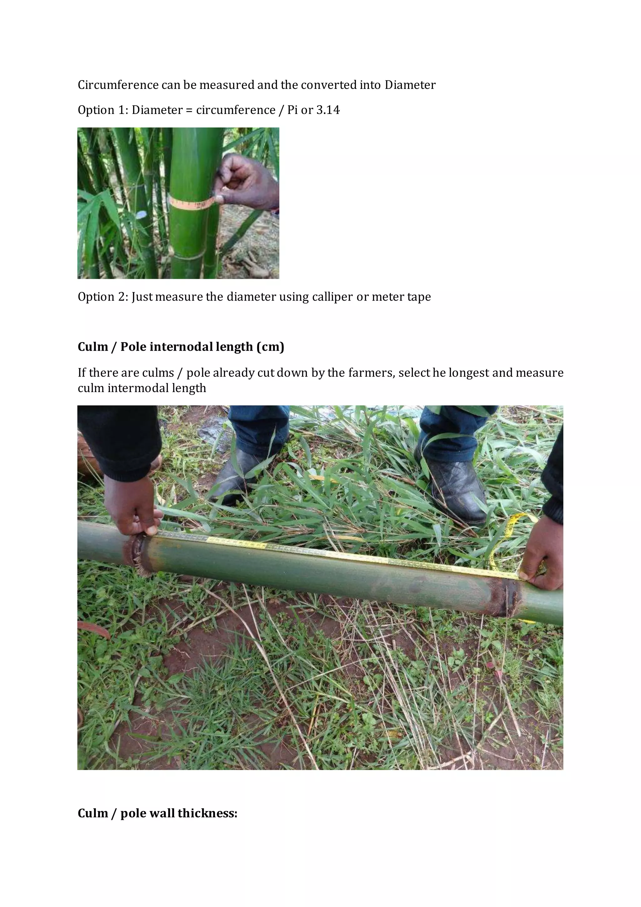 Guidelines for bamboo data measurement v1.1.2 | DOCX