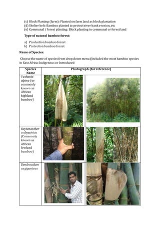 Guidelines for bamboo data measurement v1.1.2 | DOCX