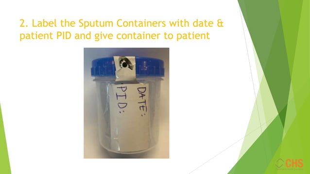 Guidelines for Collecting Sputum Sample | PPTX | Infectious Diseases ...