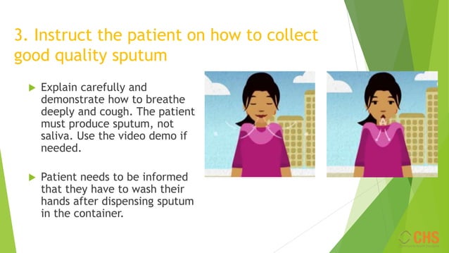 Guidelines for Collecting Sputum Sample | PPTX | Infectious Diseases ...