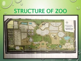 GUIDELINES FOR COSTRUCTION _OF_ZOO.pptx