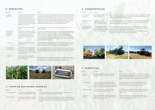 Guidelines for forage maize production and ensiling | PDF