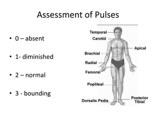 Guidelines for management of peripheral arterial disease | PPTX