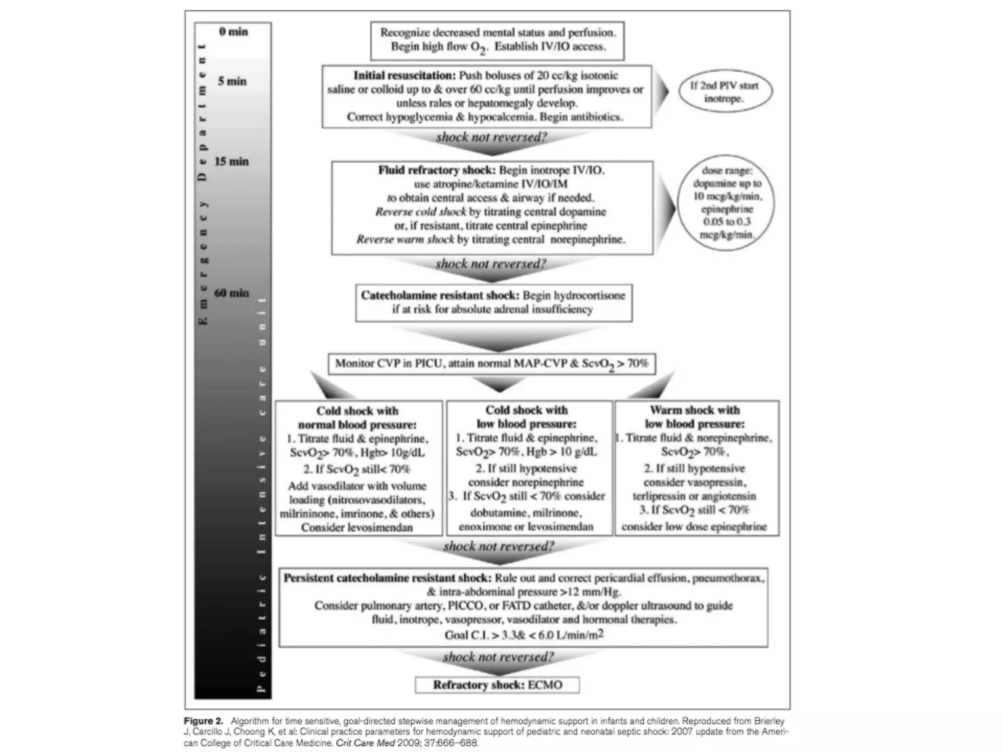 CURRENT INTERNATIONAL GUIDELINES FOR MANAGEMENT OF SEVERE SEPSIS AND ...