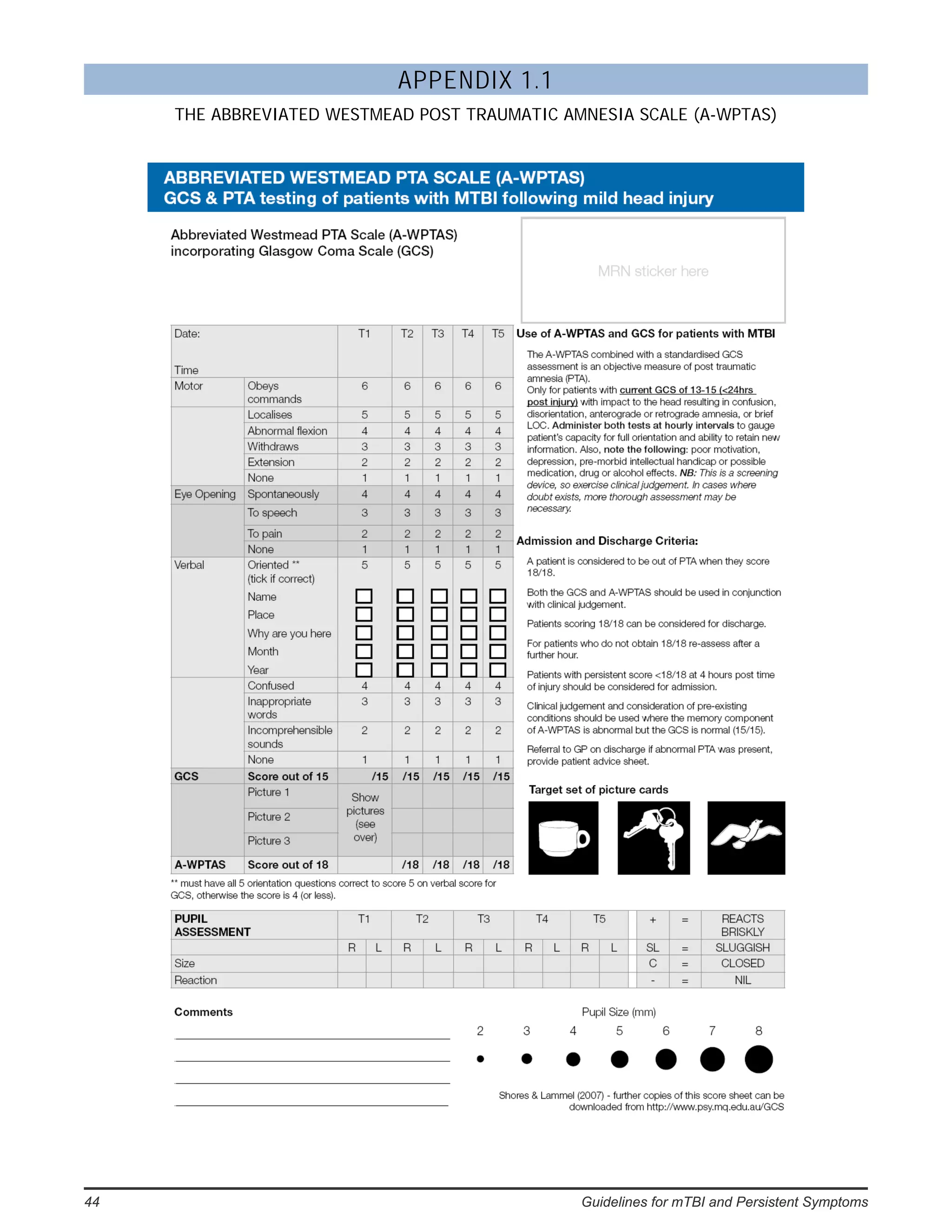 Guidelines for mild_traumatic_brain_injury_and_persistent_symptoms ...