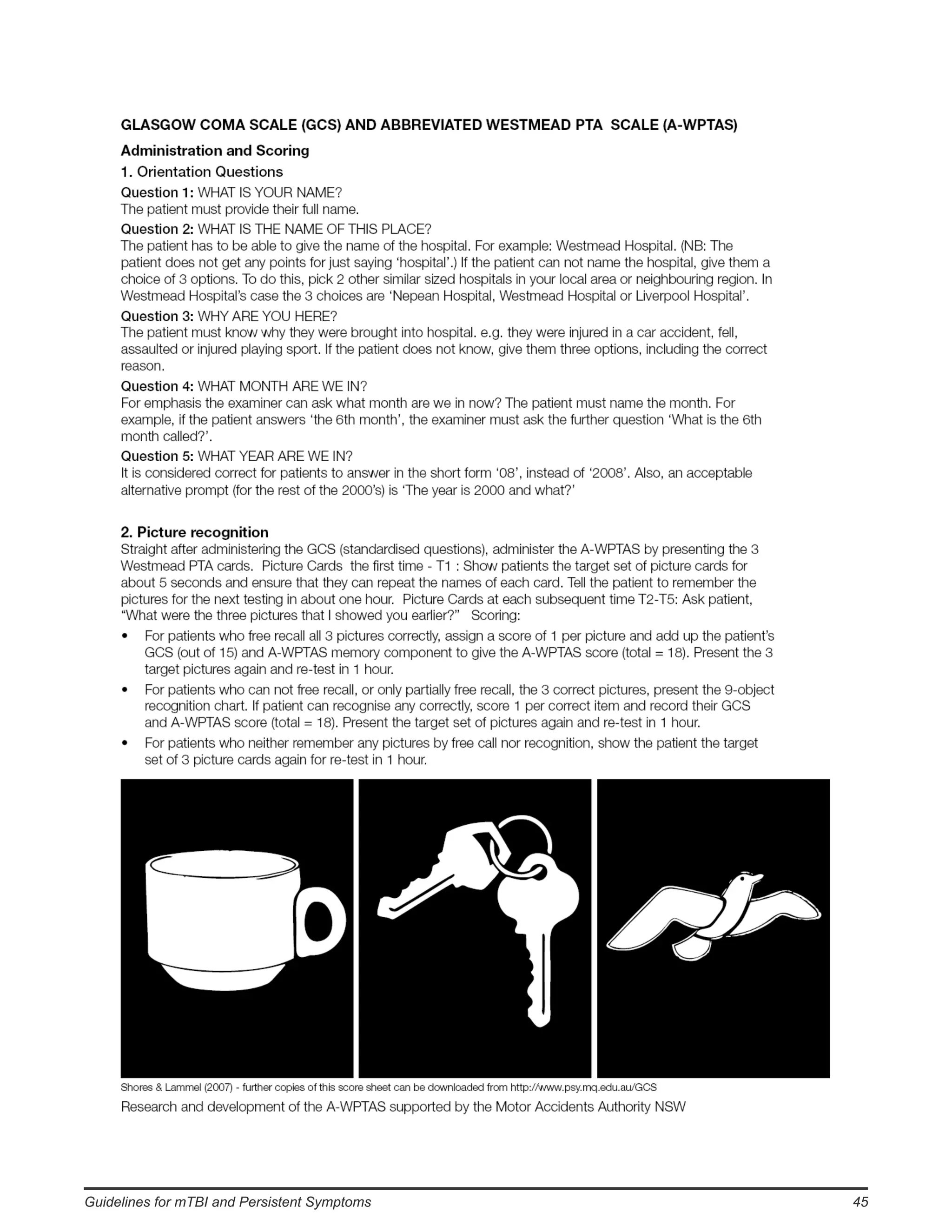 Guidelines for mild_traumatic_brain_injury_and_persistent_symptoms ...
