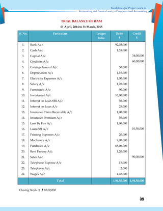 Guidelines for practical & project work in accounting | PDF