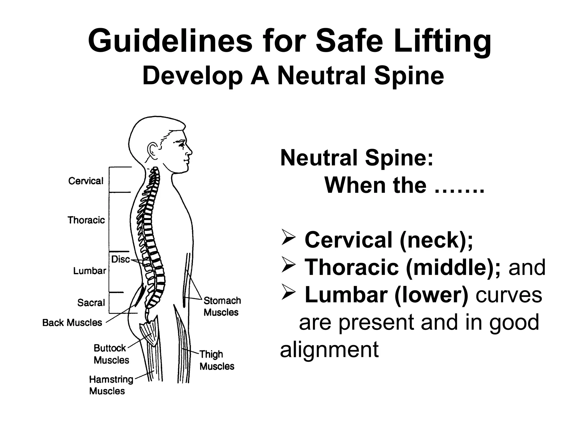 Guidelines for safer lifting | PPT