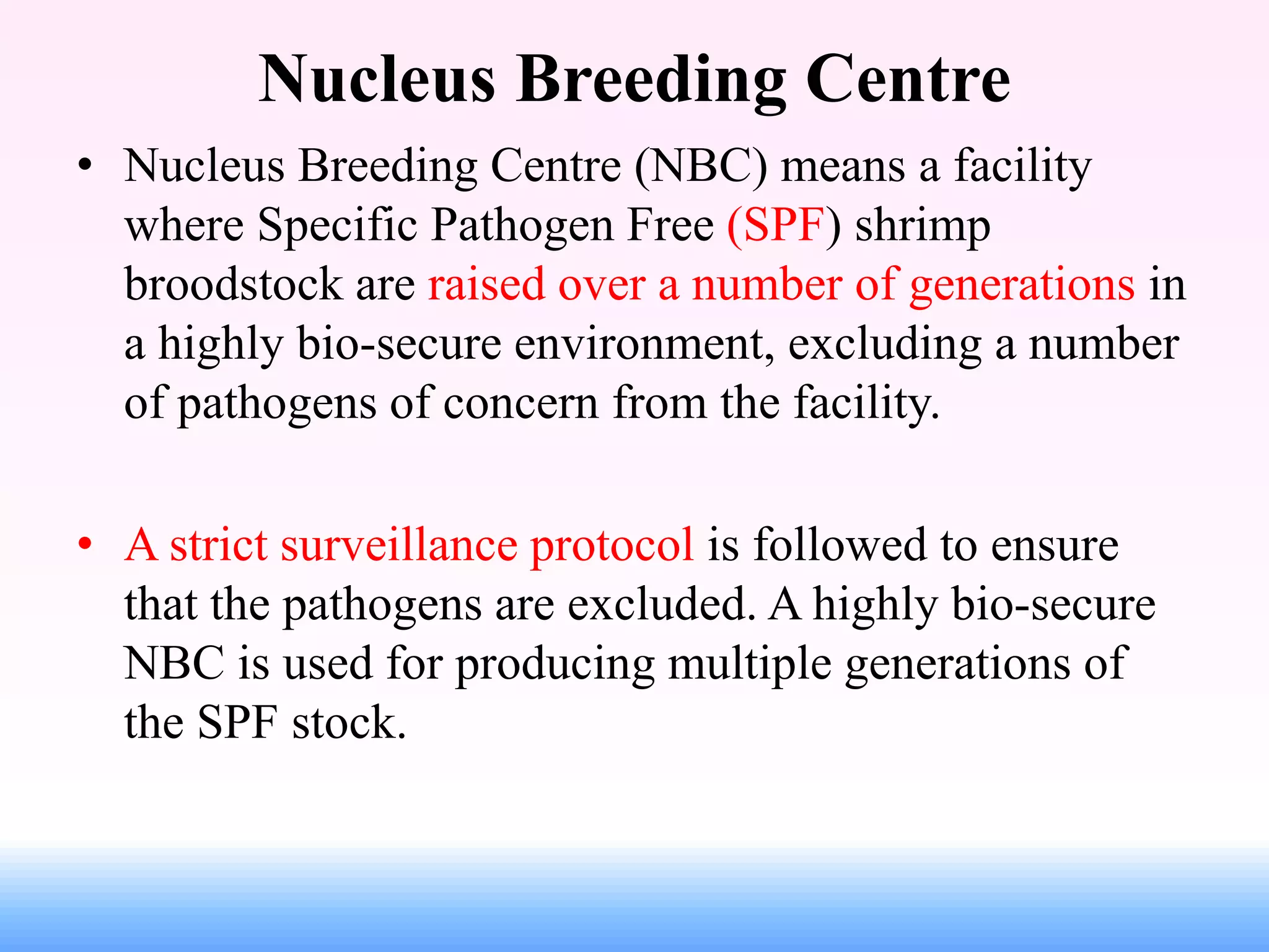 Guidelines for SPF shrimp in India.pptx