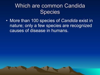 Guidelines for the management of candidiasis | PPT