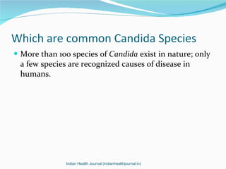 Guidelines for the management of candidiasis dr kantharia_ihj | PPT