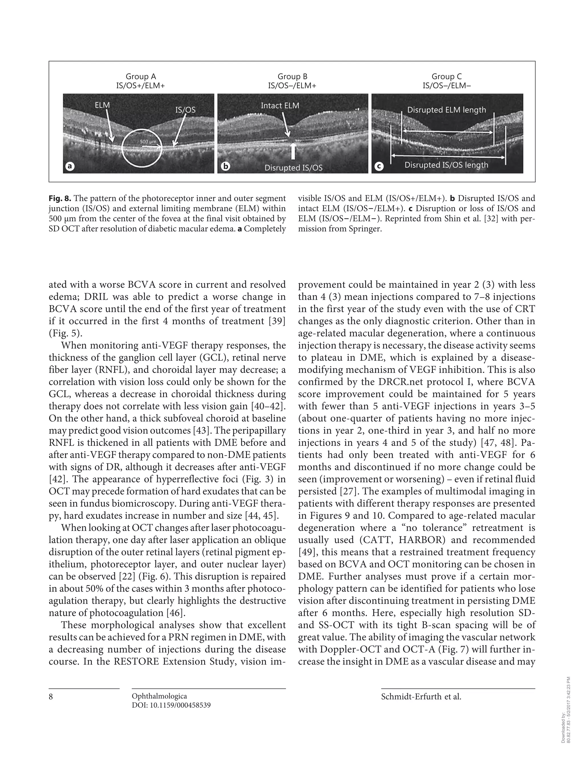 Guidelines for the Management of Diabetic Macular Edema.pdf