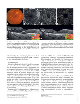 Guidelines for the Management of Diabetic Macular Edema.pdf