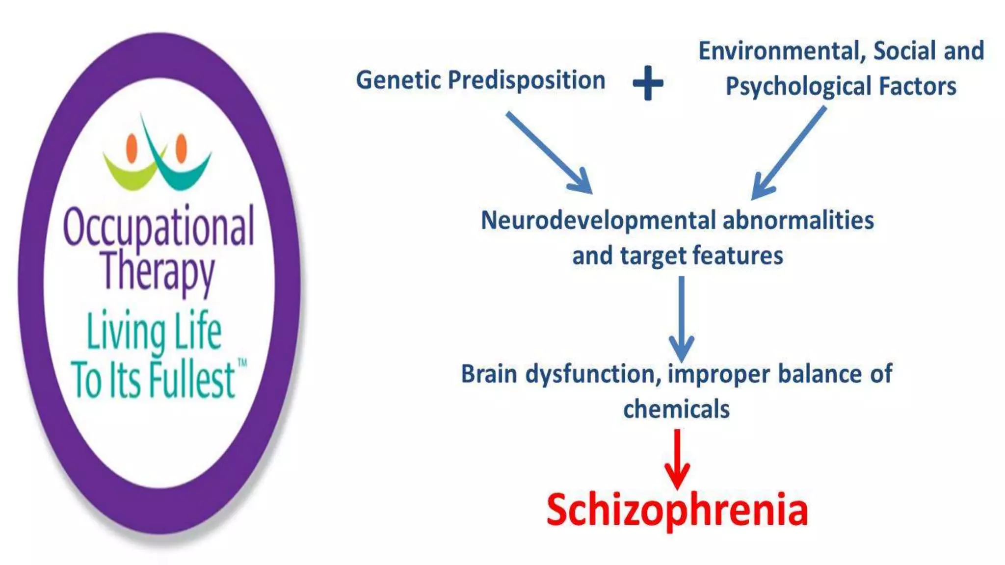 Guidelines for the Management of Schizophrenia and Related Disorders ...
