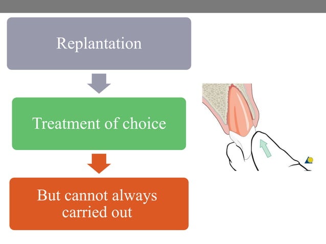 Guidelines for the management of avulsion | PPTX | Dental Health ...