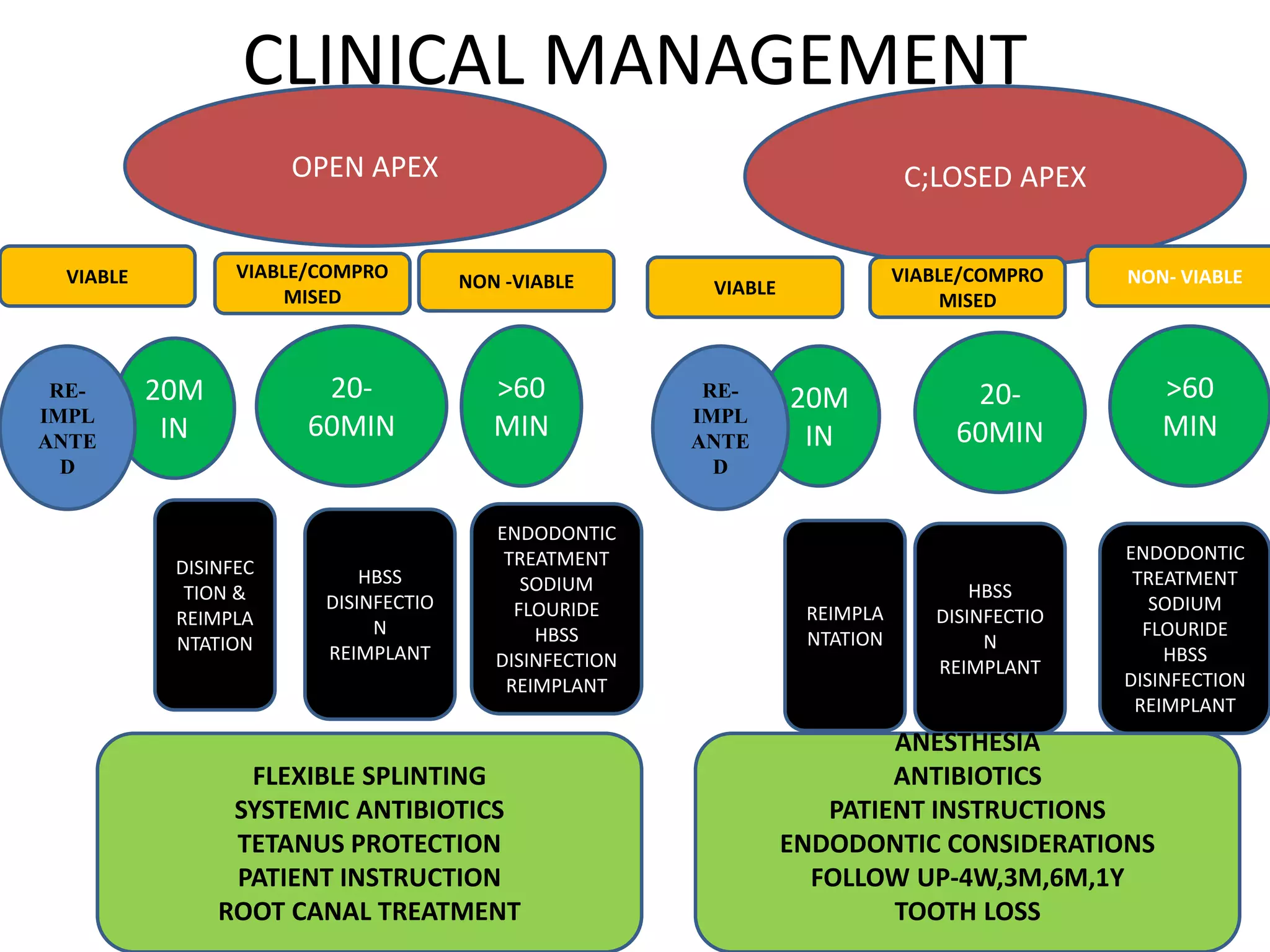 Guidelines for the management of traumatic dental injuries.ii.avulsion ...