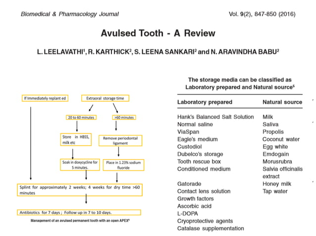 Guidelines for the management of traumatic dental injuries.ii.avulsion ...