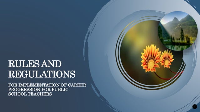 Guidelines for the reclassification and promotion to Master Teacher ...