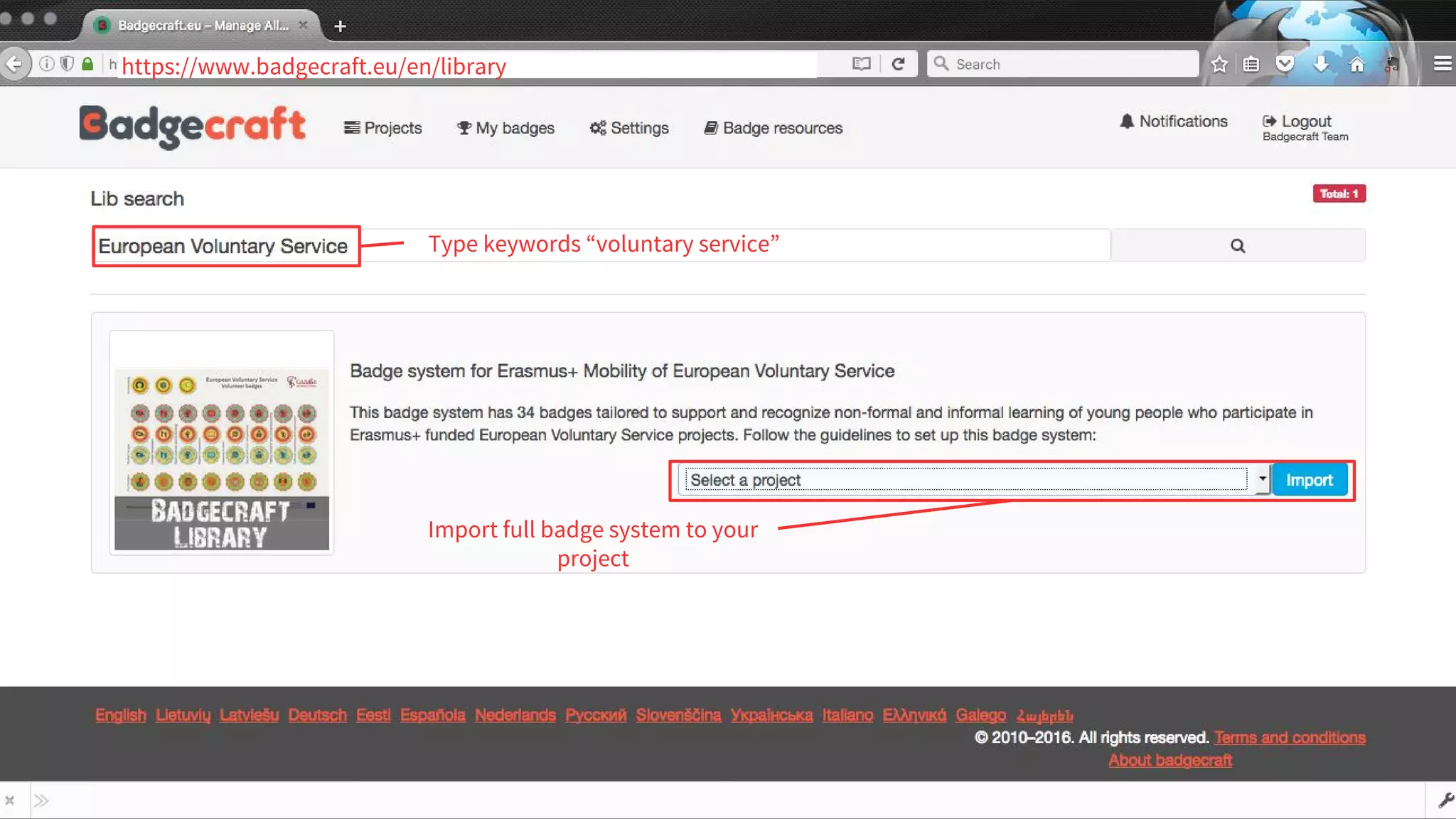 Guidelines for Using Open Badges in European Voluntary Service mobility ...