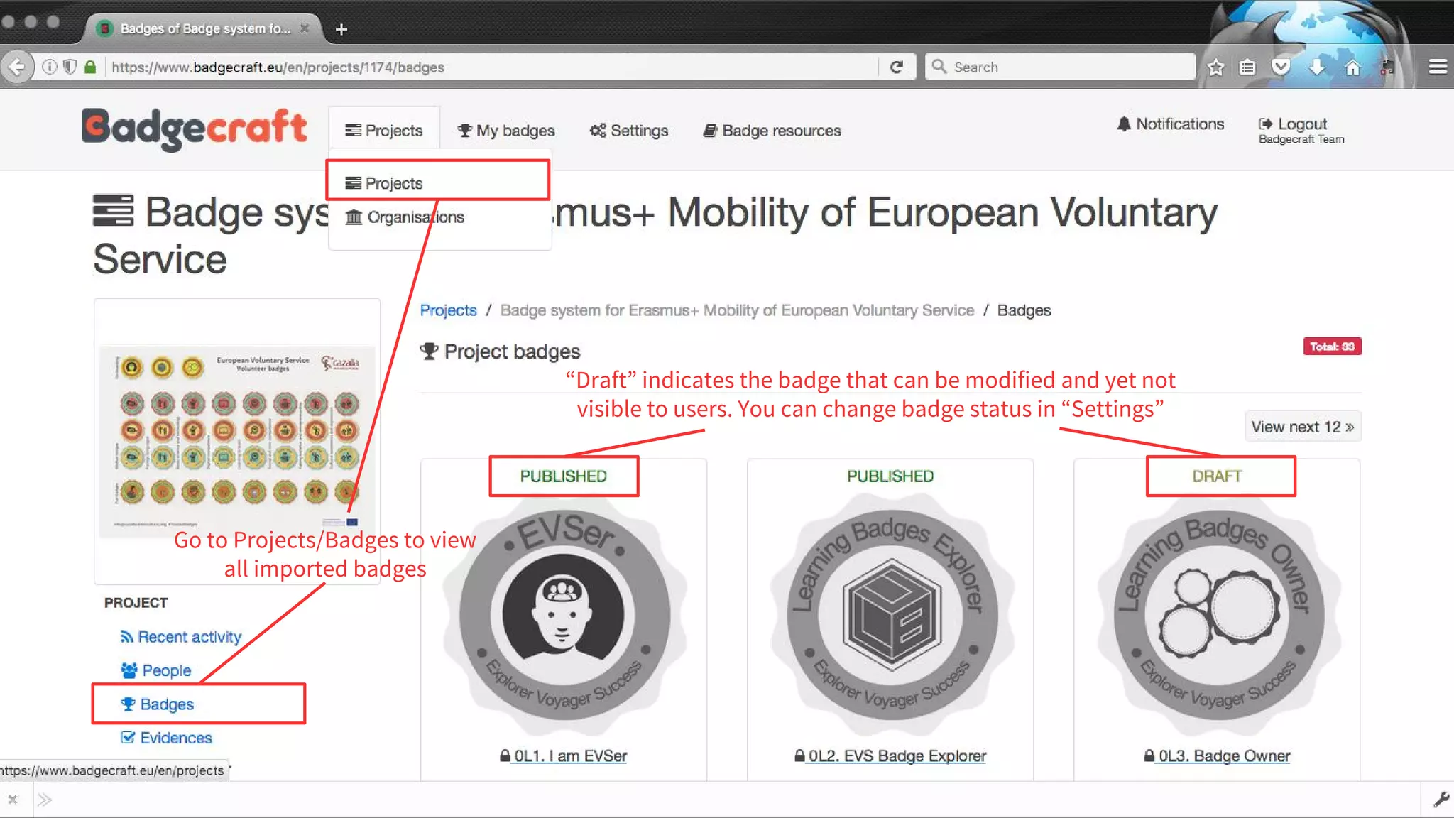 Guidelines for Using Open Badges in European Voluntary Service mobility ...
