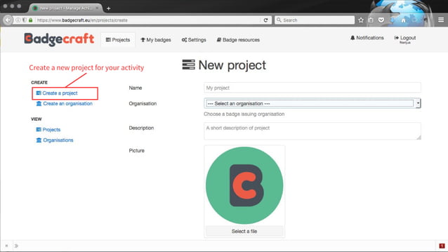 Guidelines for Using Open Badges in European Voluntary Service mobility ...