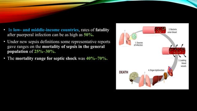 Guidelines & Identification of Early Sepsis DR. NN CHAVAN 02122023.pptx