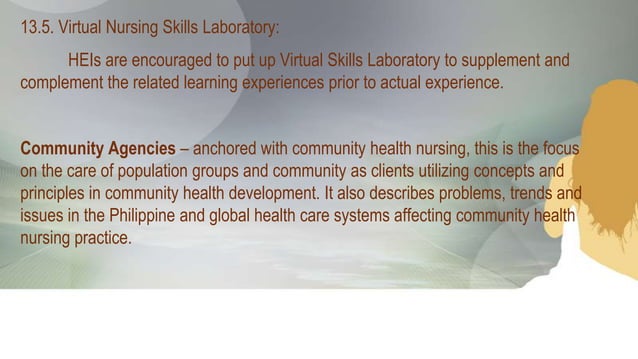 Guidelines implementing rle | PPTX | Undergraduate Education | College ...