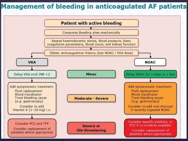 Guidelines on anticoagulation in Atrial Fibrillation | PPT