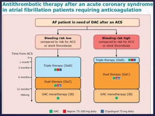 Guidelines on anticoagulation in Atrial Fibrillation | PPT