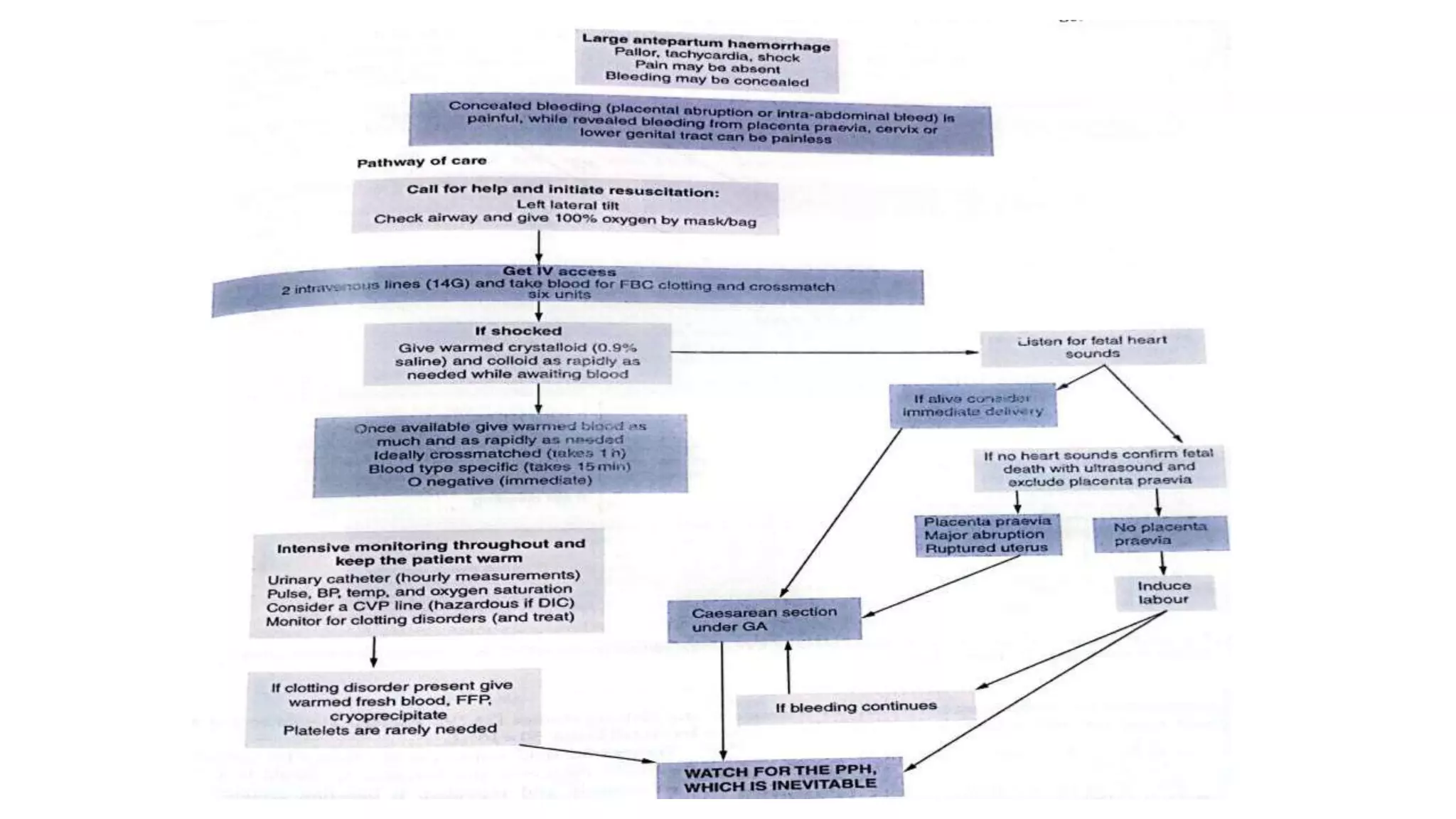 Guidelines on aph.pptx