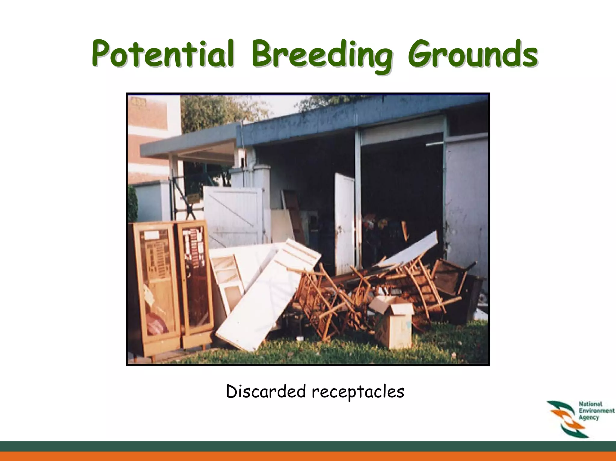 Guidelines on the prevention of mosquito breeding | PDF