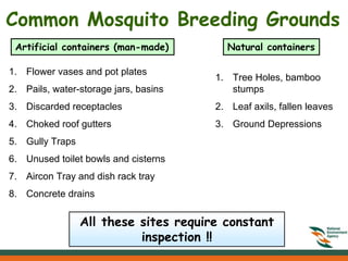 Guidelines on the prevention of mosquito breeding | PDF