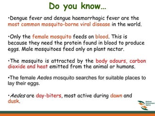 Guidelines On The Prevention of Dengue fever | PDF