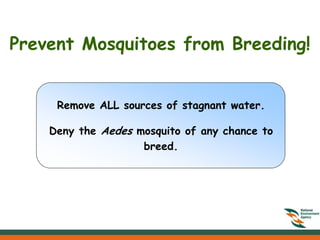 Guidelines On The Prevention of Dengue fever | PDF
