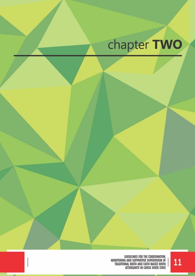 Guidelines traditional birth journal joachim_chijide | PDF