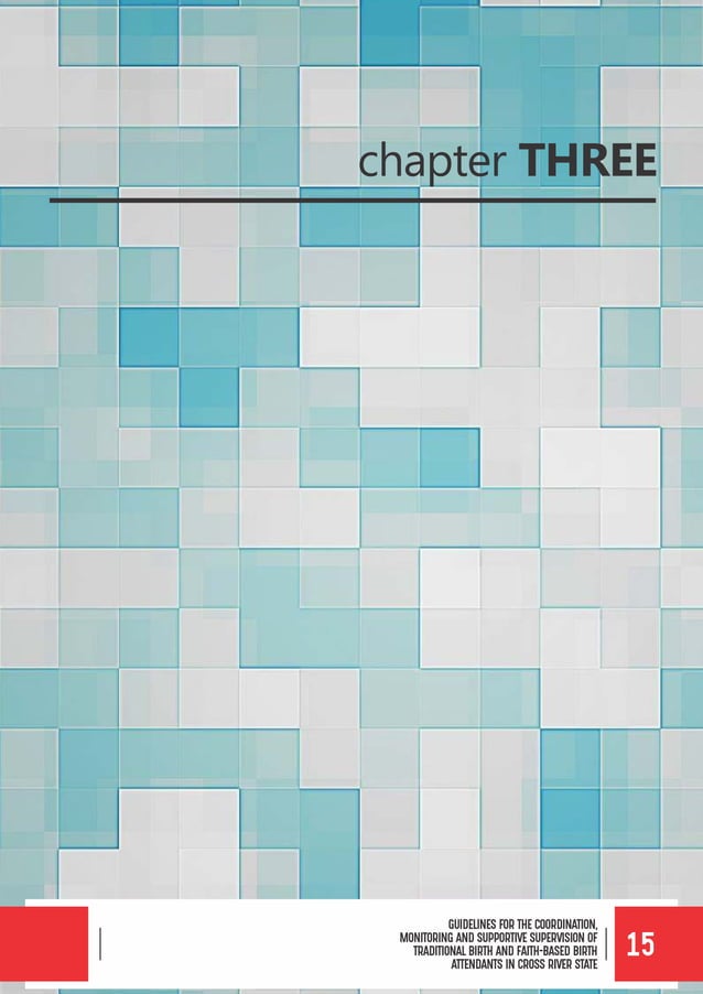 Guidelines traditional birth journal joachim_chijide | PDF