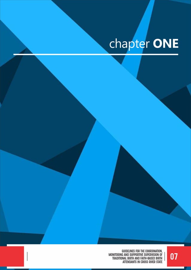 Guidelines traditional birth journal joachim_chijide | PDF