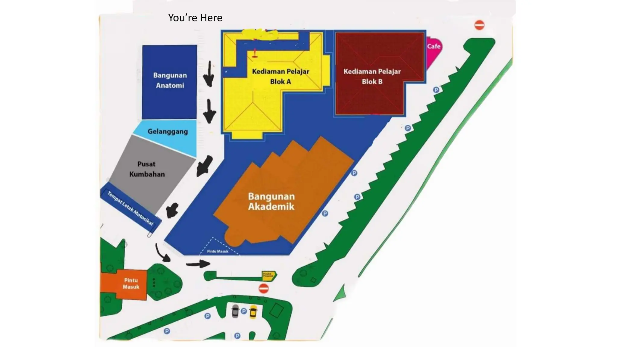 Guideline To Uni-KL Anatomy Lab PSACC.pptx