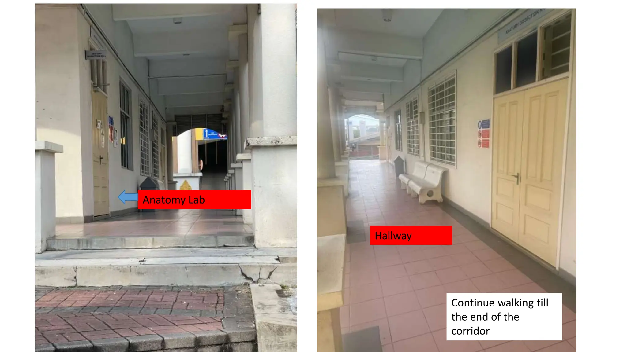 Guideline To Uni-KL Anatomy Lab PSACC.pptx