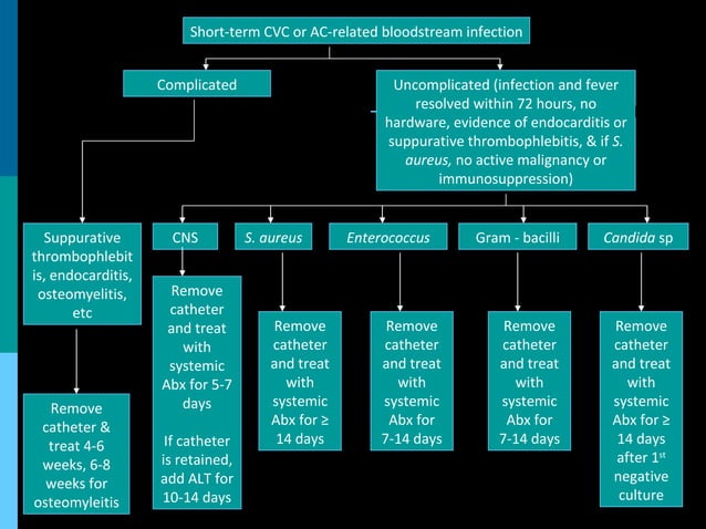 Guideline Update For The Management Of Intravenous Catheter Related ...