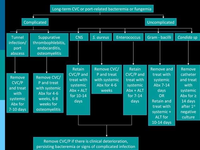 Guideline Update For The Management Of Intravenous Catheter Related ...