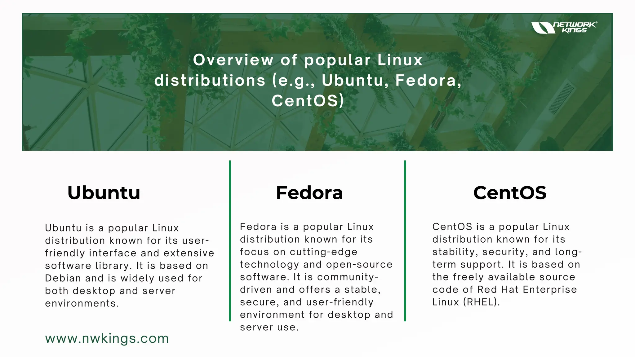 Comprehensive Guide of Linux Roadmap | PDF