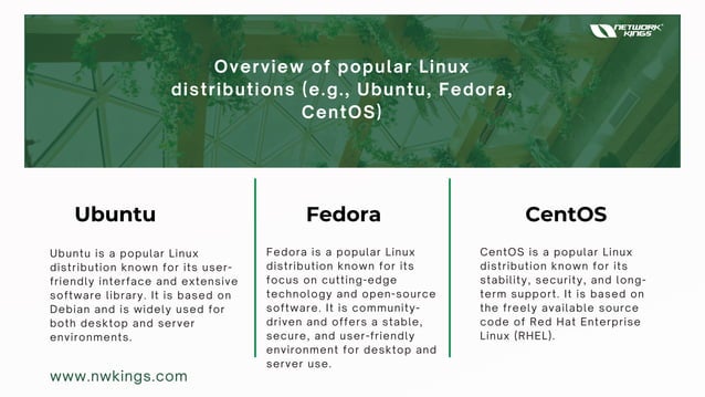 Comprehensive Guide of Linux Roadmap | PDF
